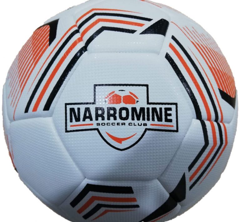 Custom Soccer Balls - Soccer Warehouse